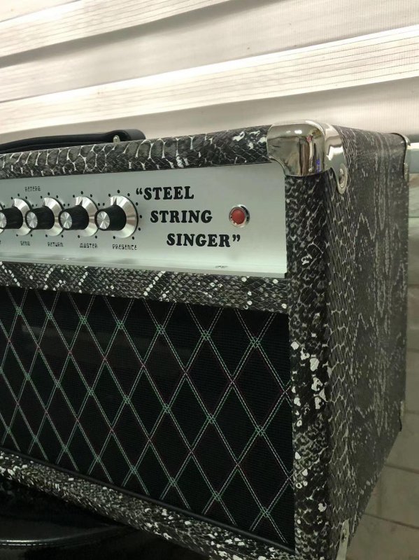 Overdrive Deluxe-Dumble Steel String Singer SSS Clone 100 Watt