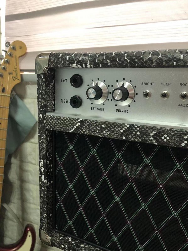 Custom Dumble Tone SSS 100W Head Grand SSS100 Amp in Snake Tolex