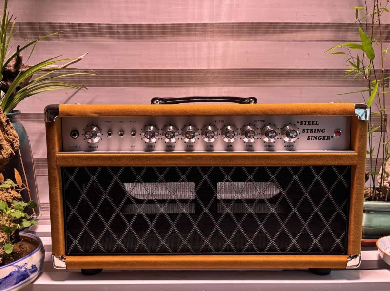 Dumble Clone Steel String Singer Head 20W in Suede Brown, Grand ...