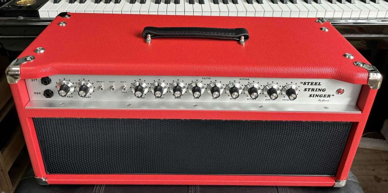 Custom Grand Steel String Singer SSS 20W Dumble Clone, Accept Guitar ...