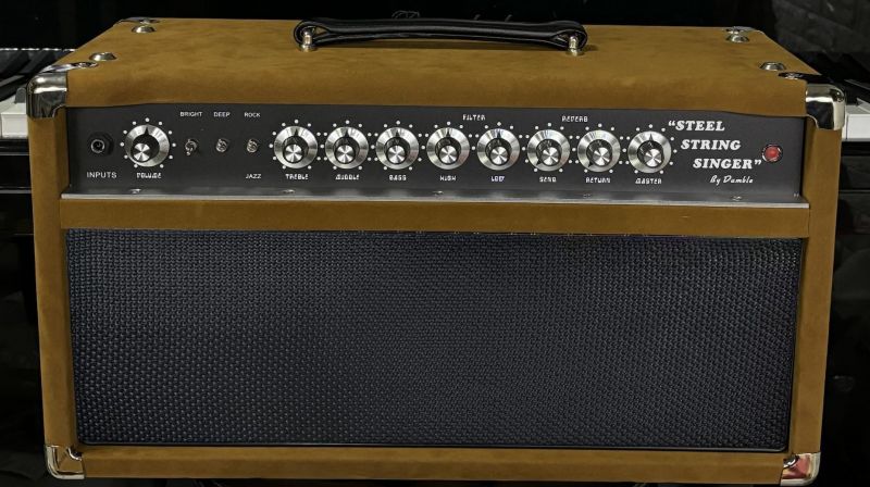 Custom Grand Steel String Singer SSS 20W Dumble Clone, Accept Guitar ...