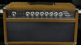Custom Grand Steel String Singer SSS 20W Dumble Clone, Accept Guitar ...